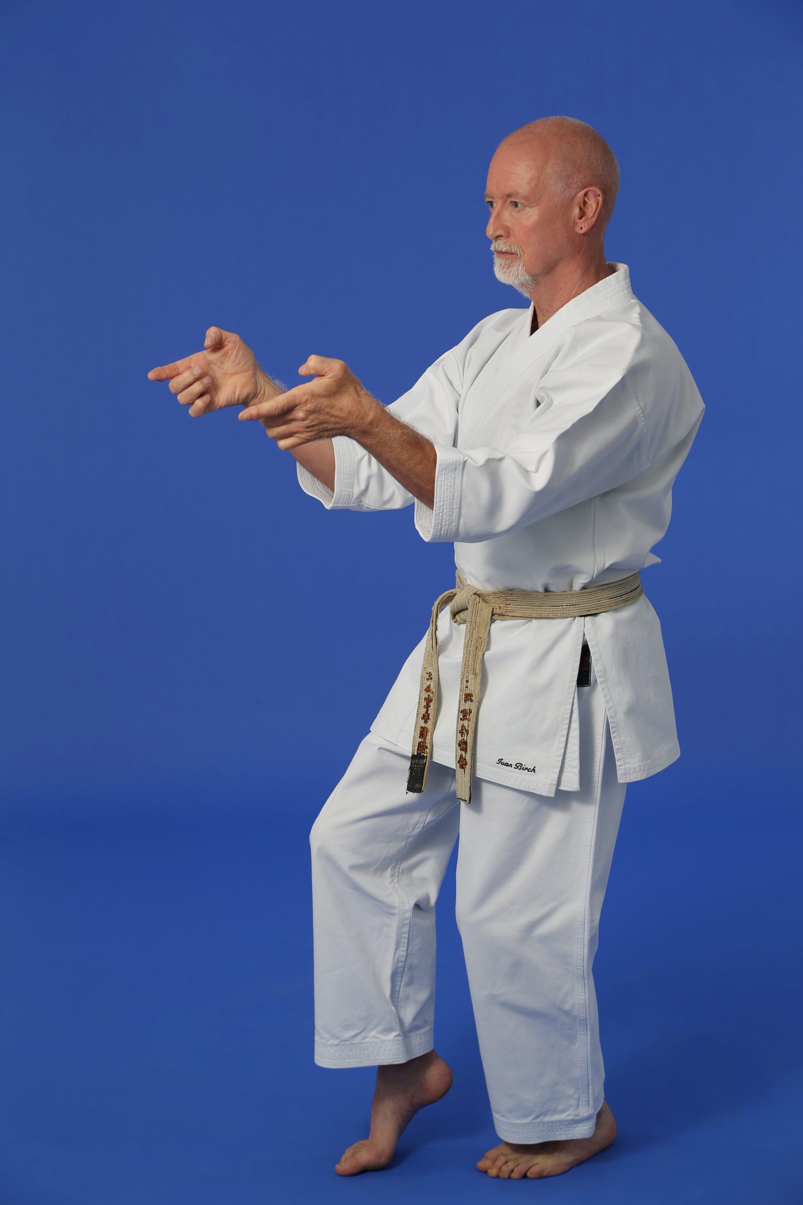 Ivan Birch – Shotokan Connect